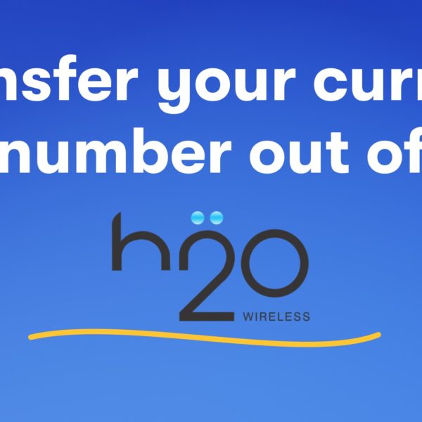 How To Transfer Your Number From GreatCall (Lively) To Another Carrier ...