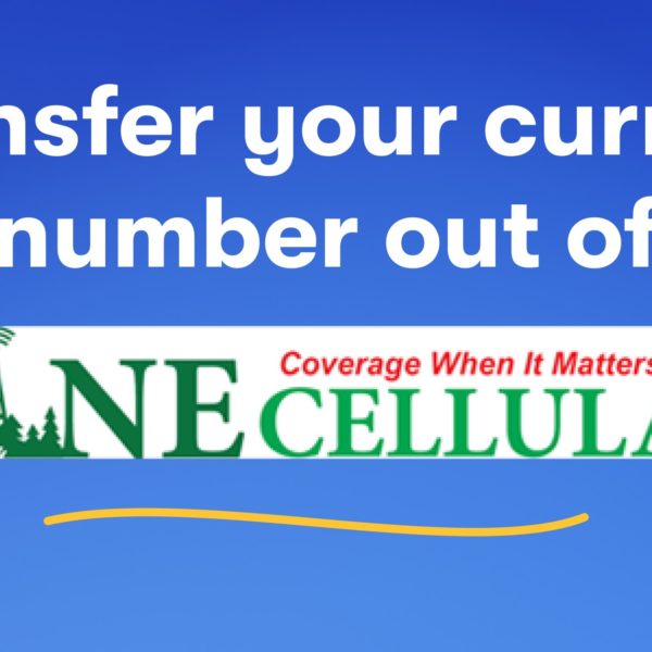 How To Transfer Your Number From Pioneer Cellular To Another Carrier ...